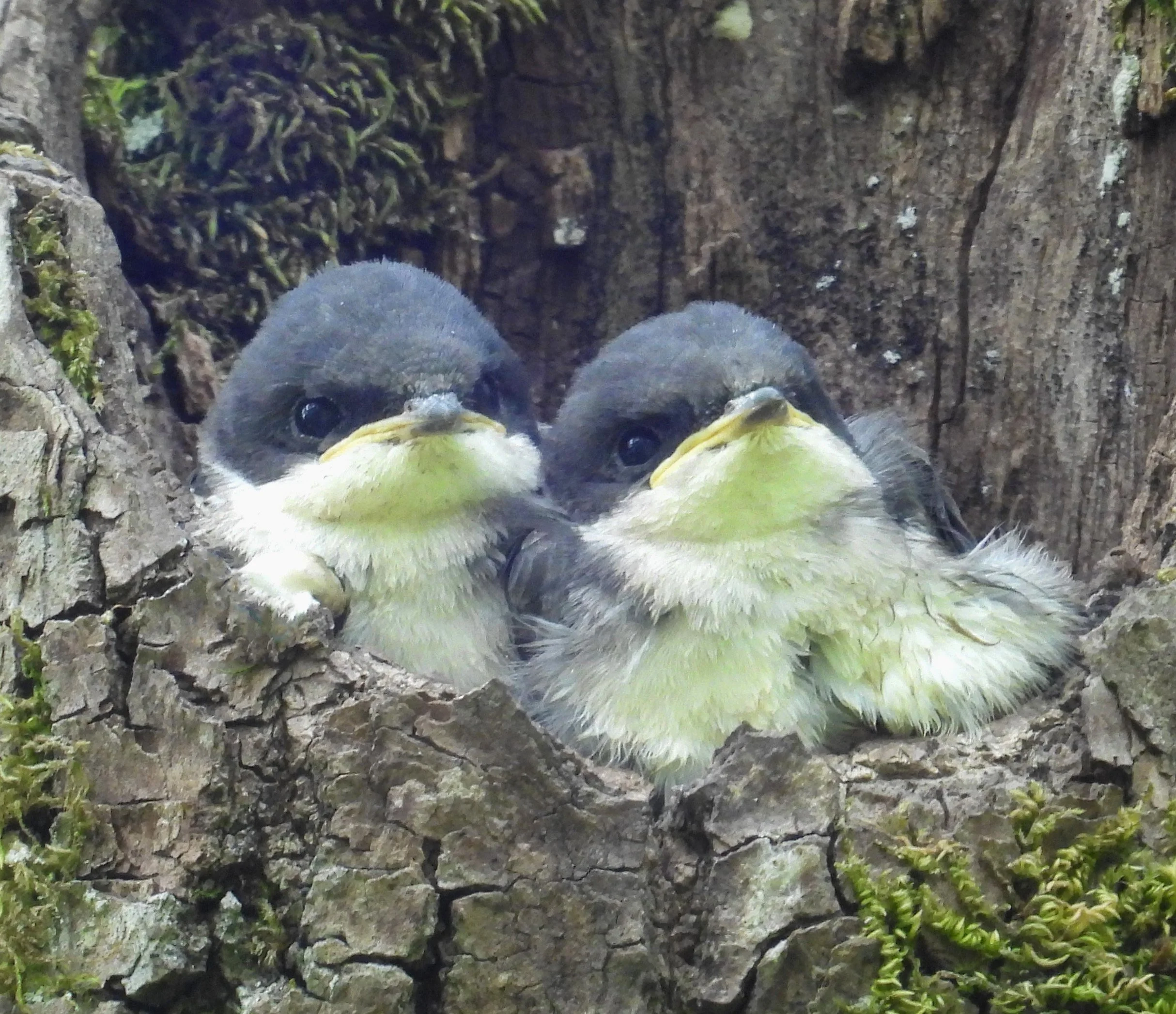 Wander Nature - Nature Blog & Photos