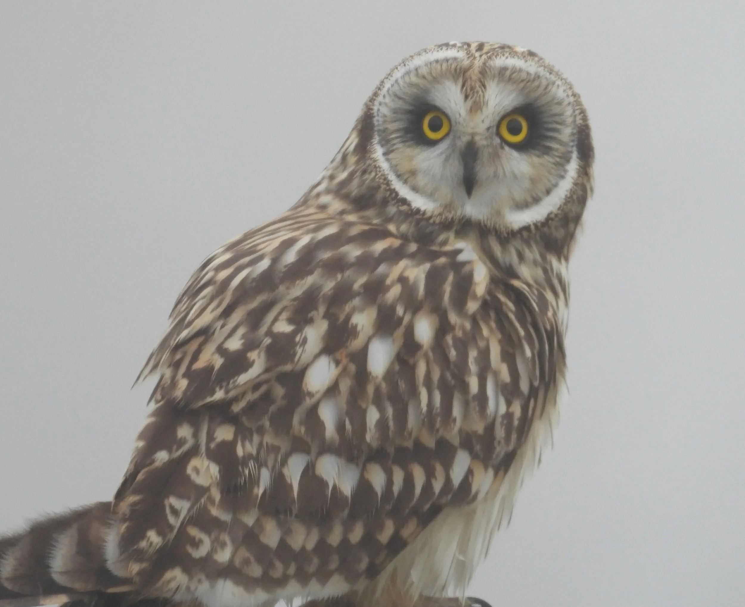 Wander Nature - Nature Blog & Photos