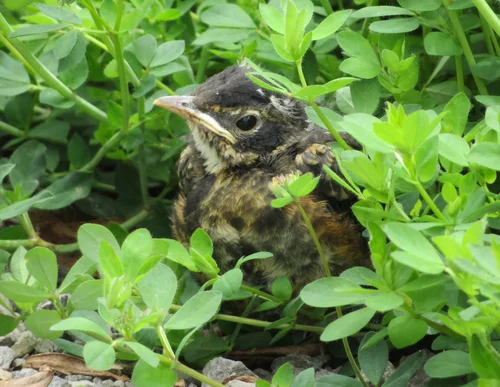 Wander Nature - Nature Blog & Photos