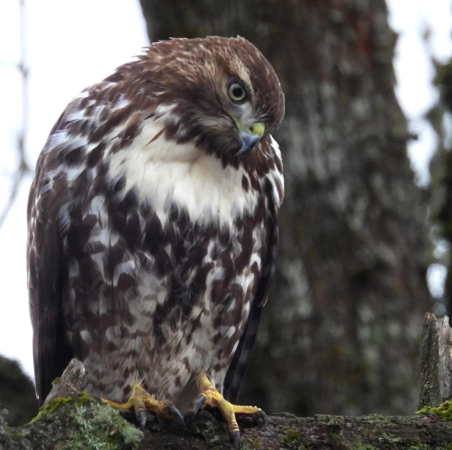 Wander Nature - Nature Blog & Photos