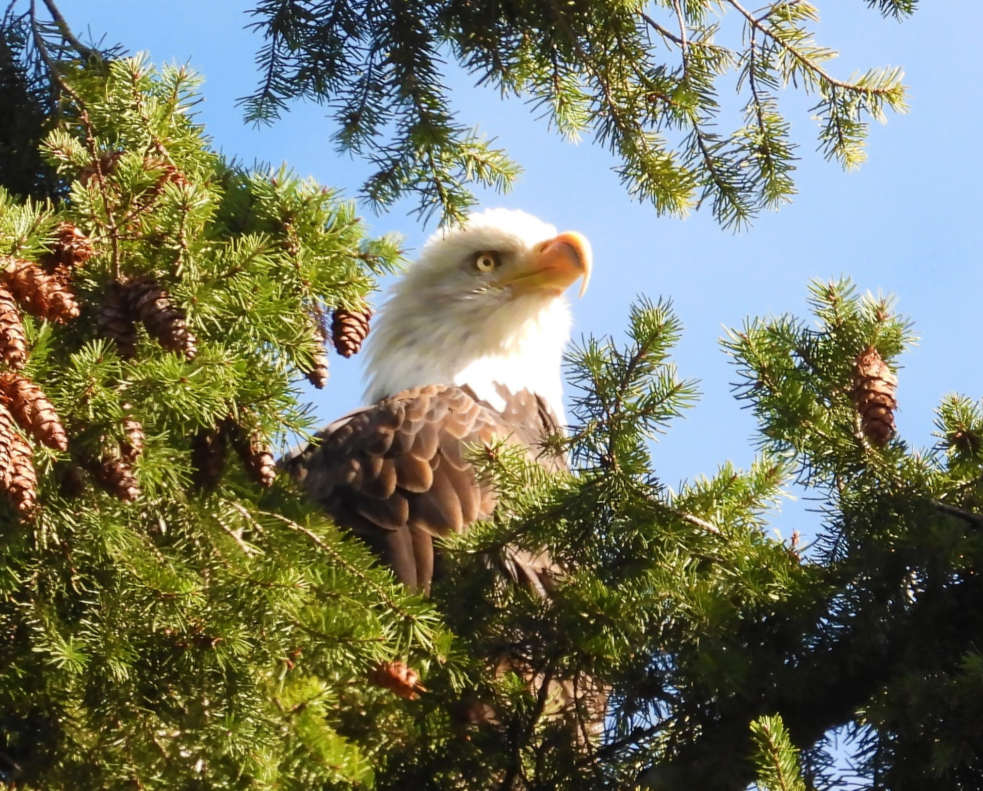 Wander Nature - Nature Blog & Photos