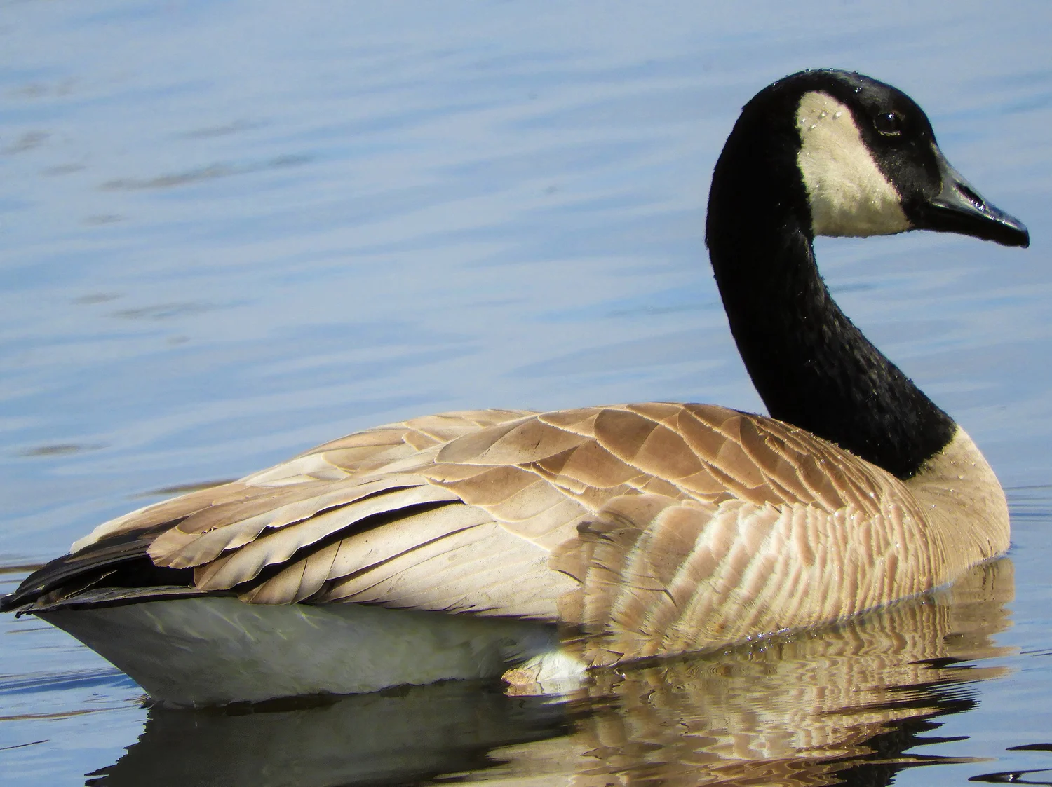 Wander Nature - Nature Blog & Photos