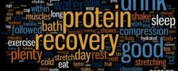 Arrc Full Body Multiwave Led Light Therapy Bed | Shelly Lighting