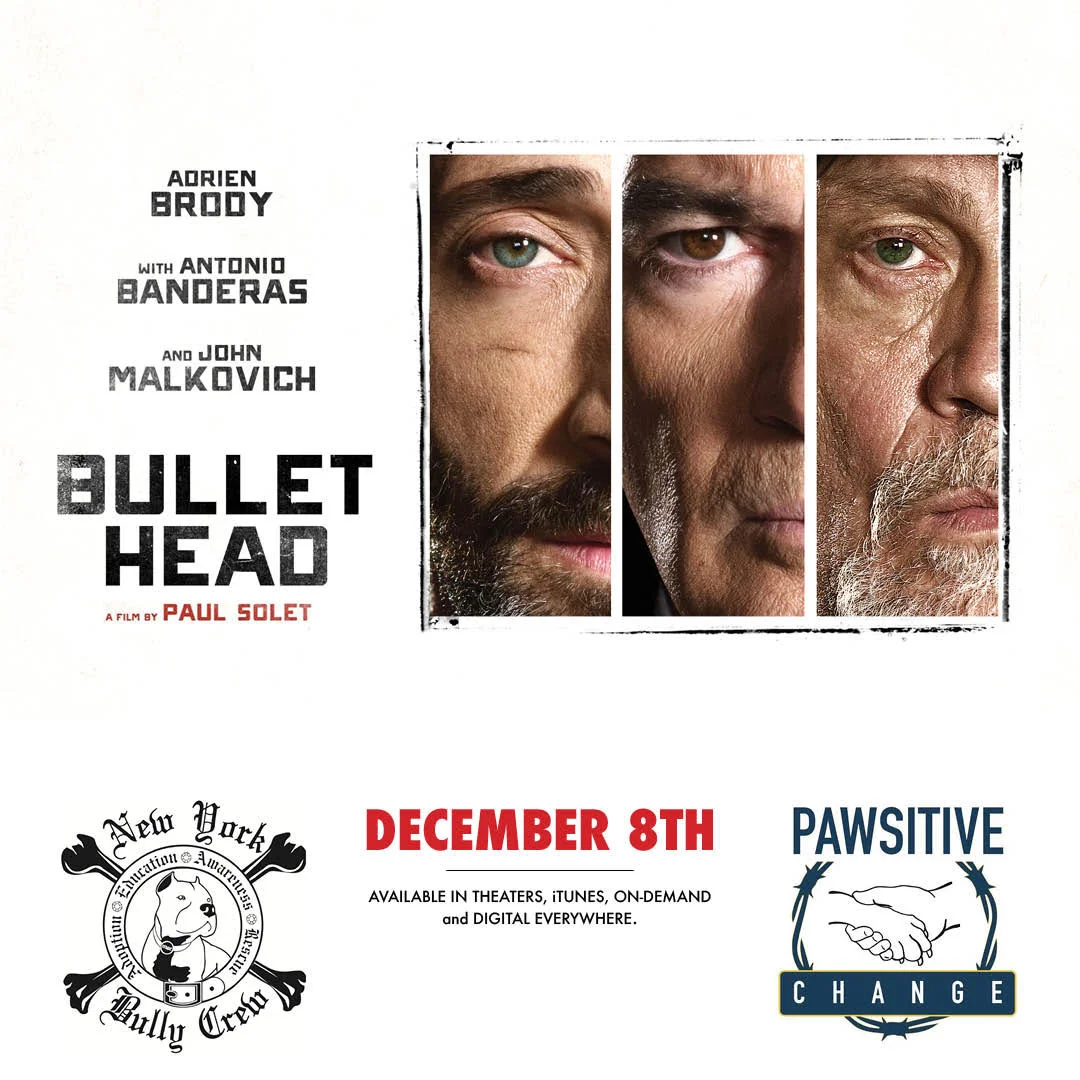 Paul Solet (2017) #video — CineDump