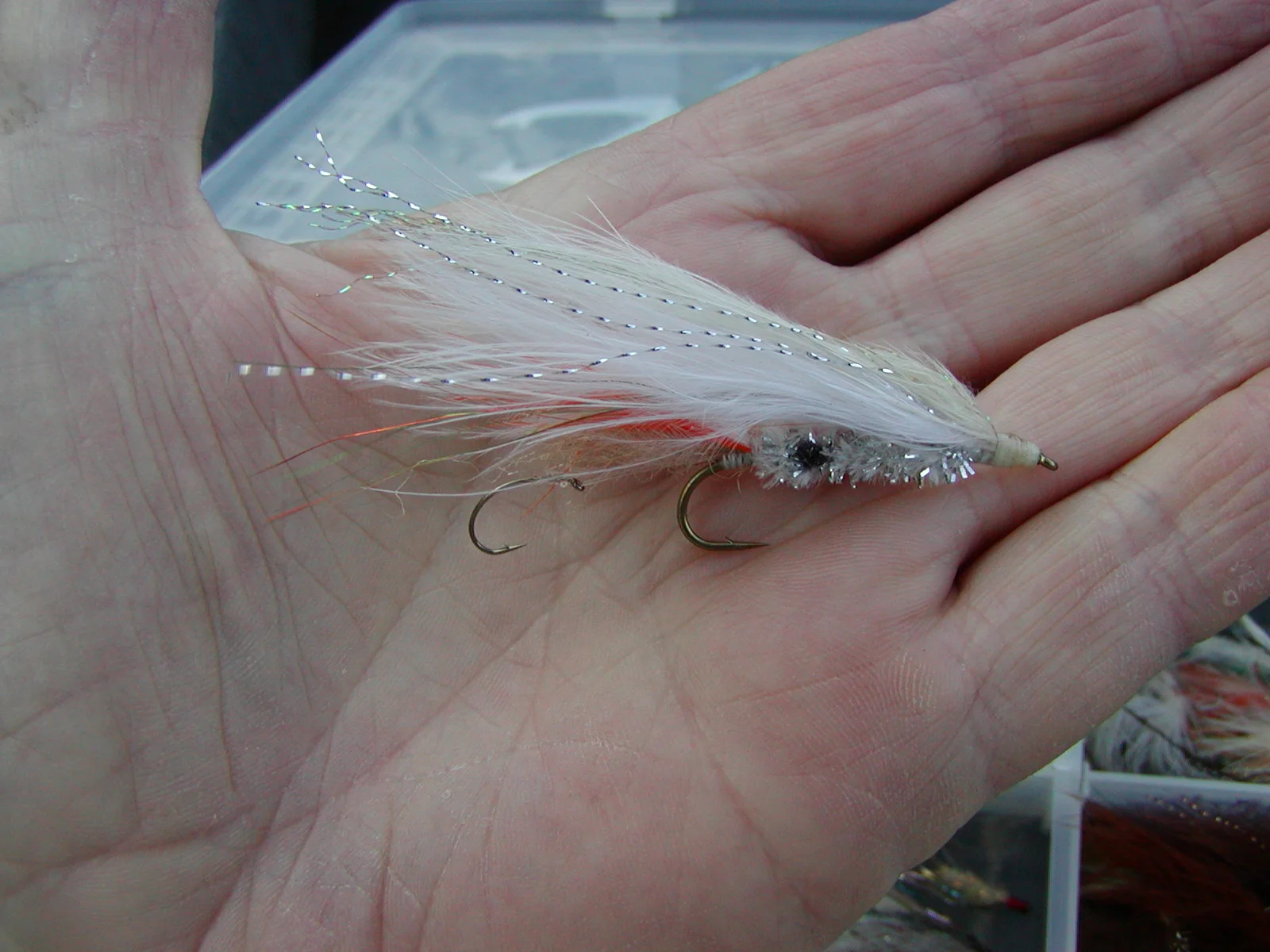 Spring Trolling Lake Almanor — TrollingFlies.com