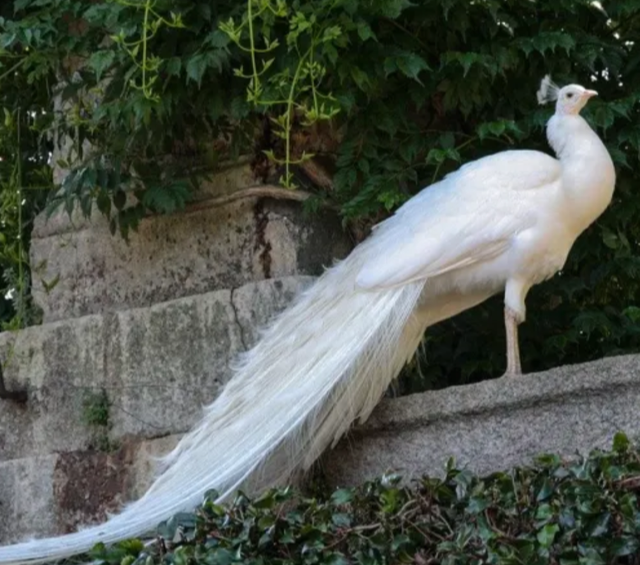 Our Team — KensieMae