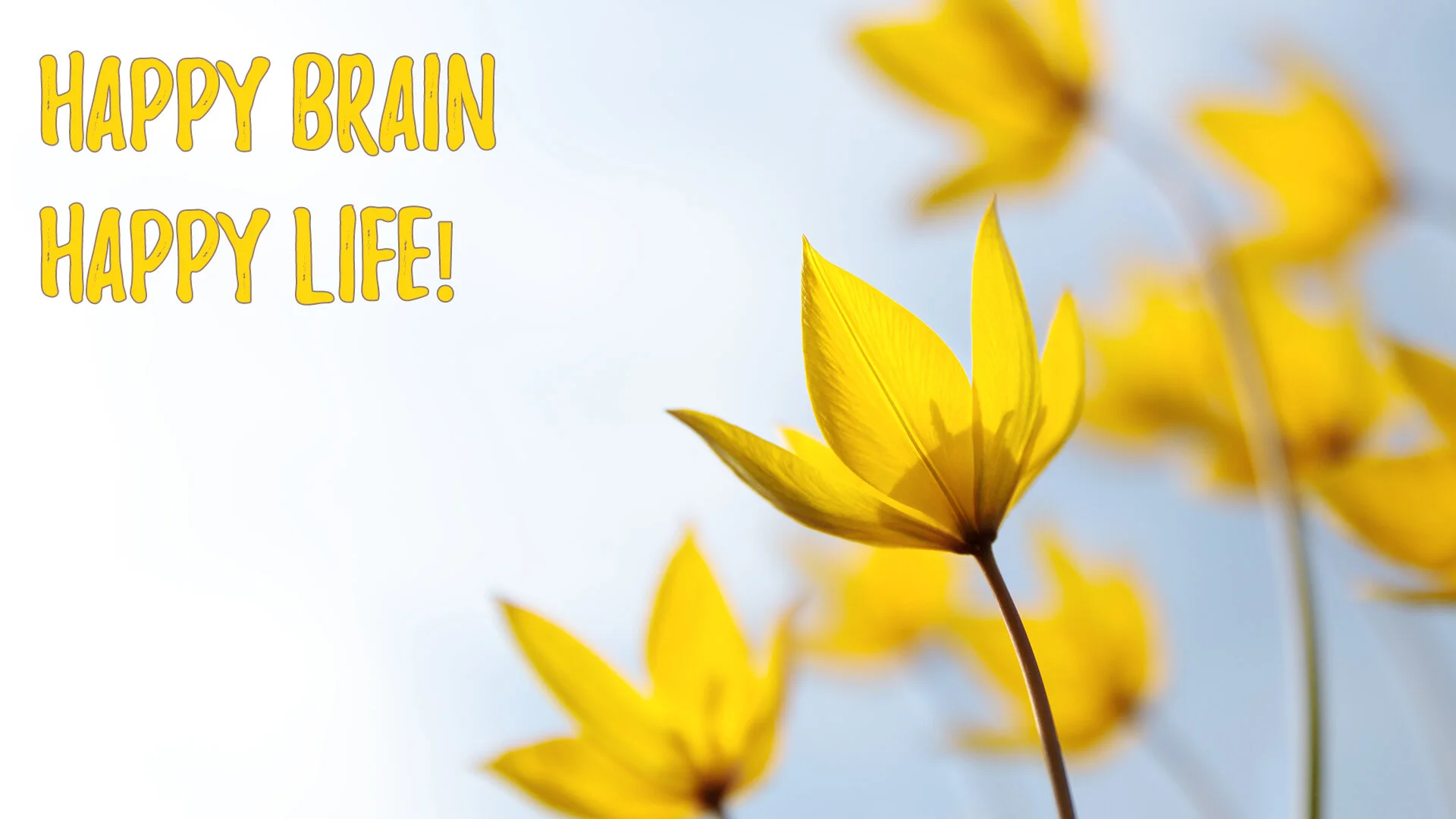 The Science Of Happiness & The State Of Nature — Fit for Joy