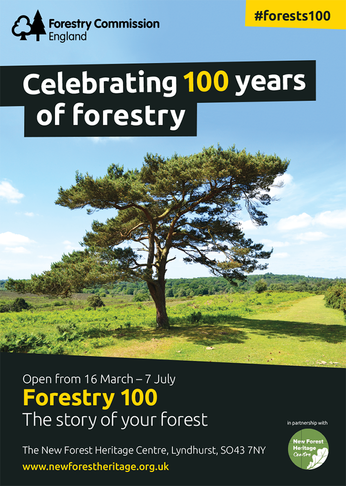 Forestry England — Graphic Design Agency | Southampton | Catchymonkey ...