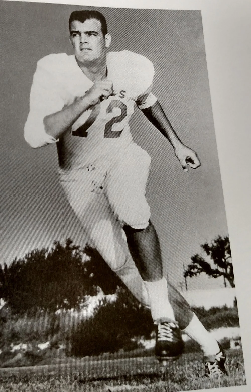 The History of Longhorn Sports