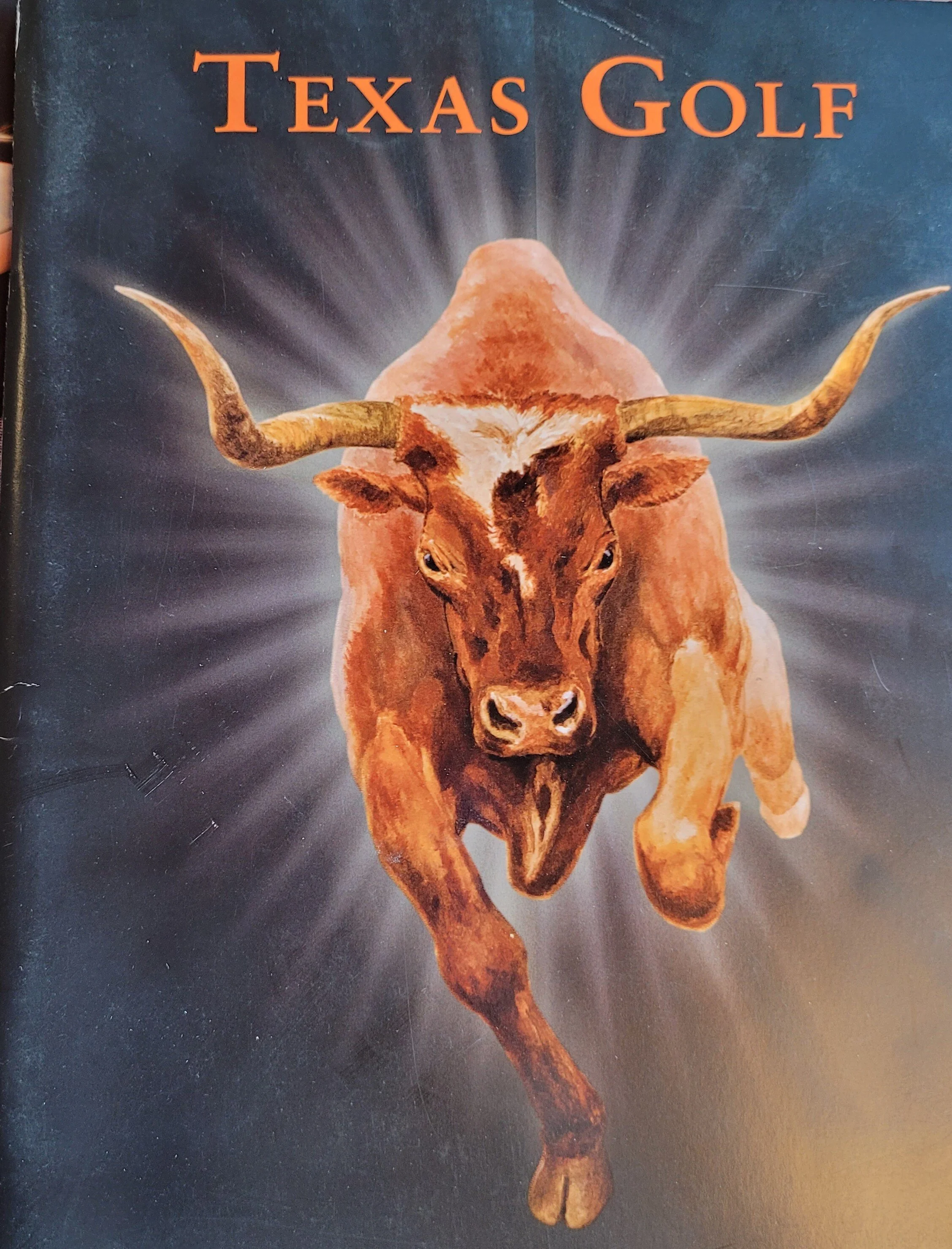 Texas Legacy Support Network