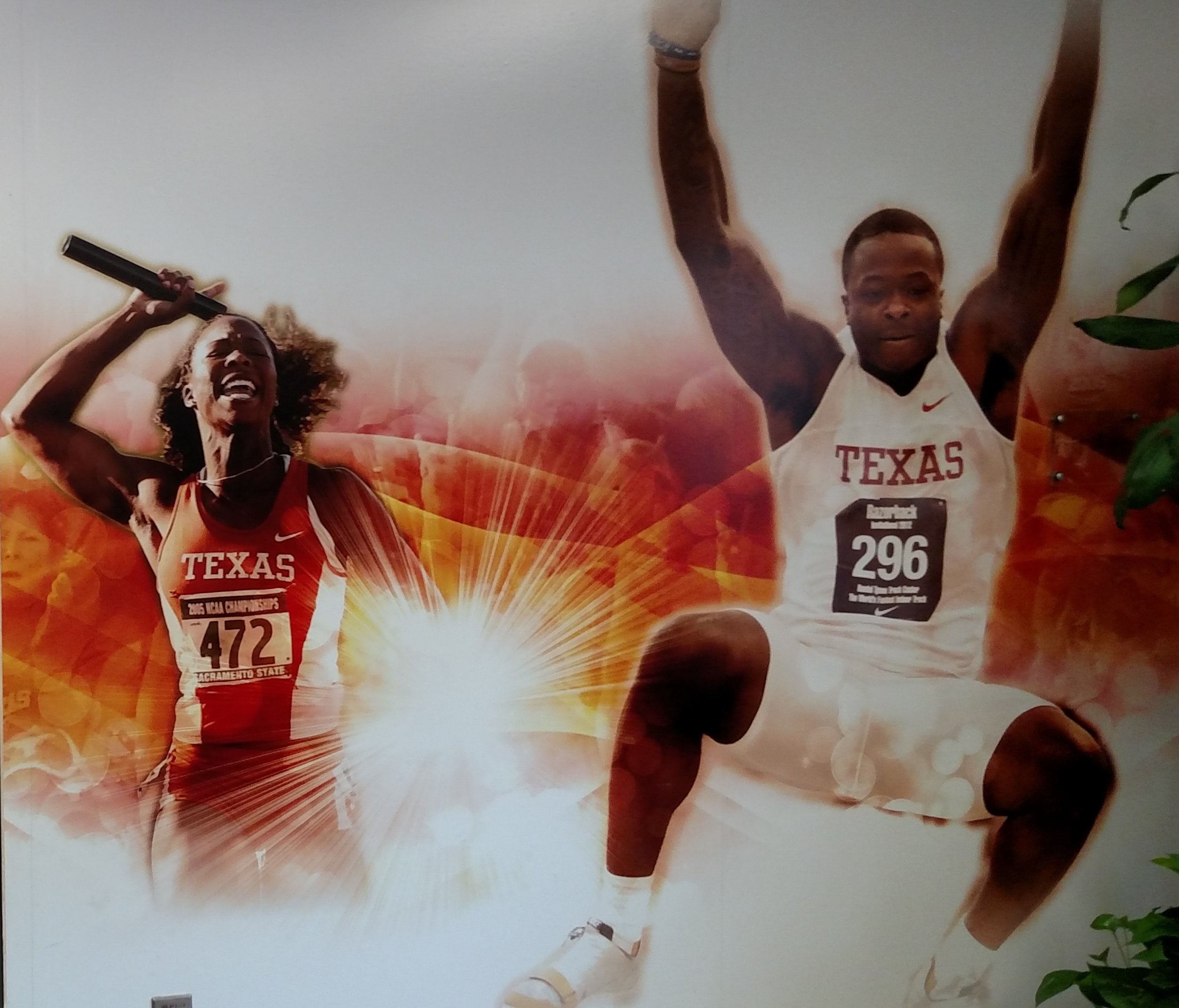 The History of Longhorn Sports