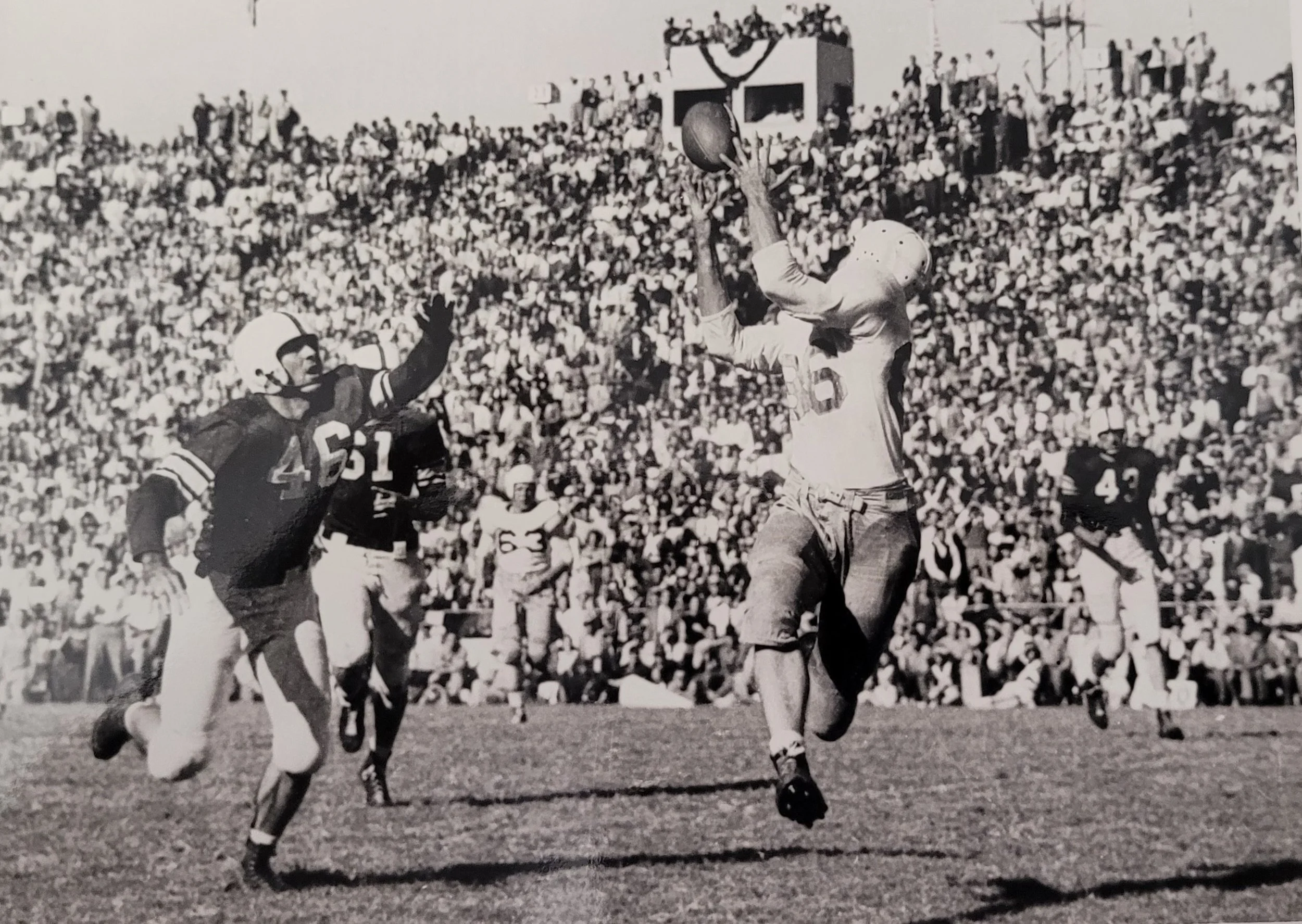 Texas Legacy Support Network