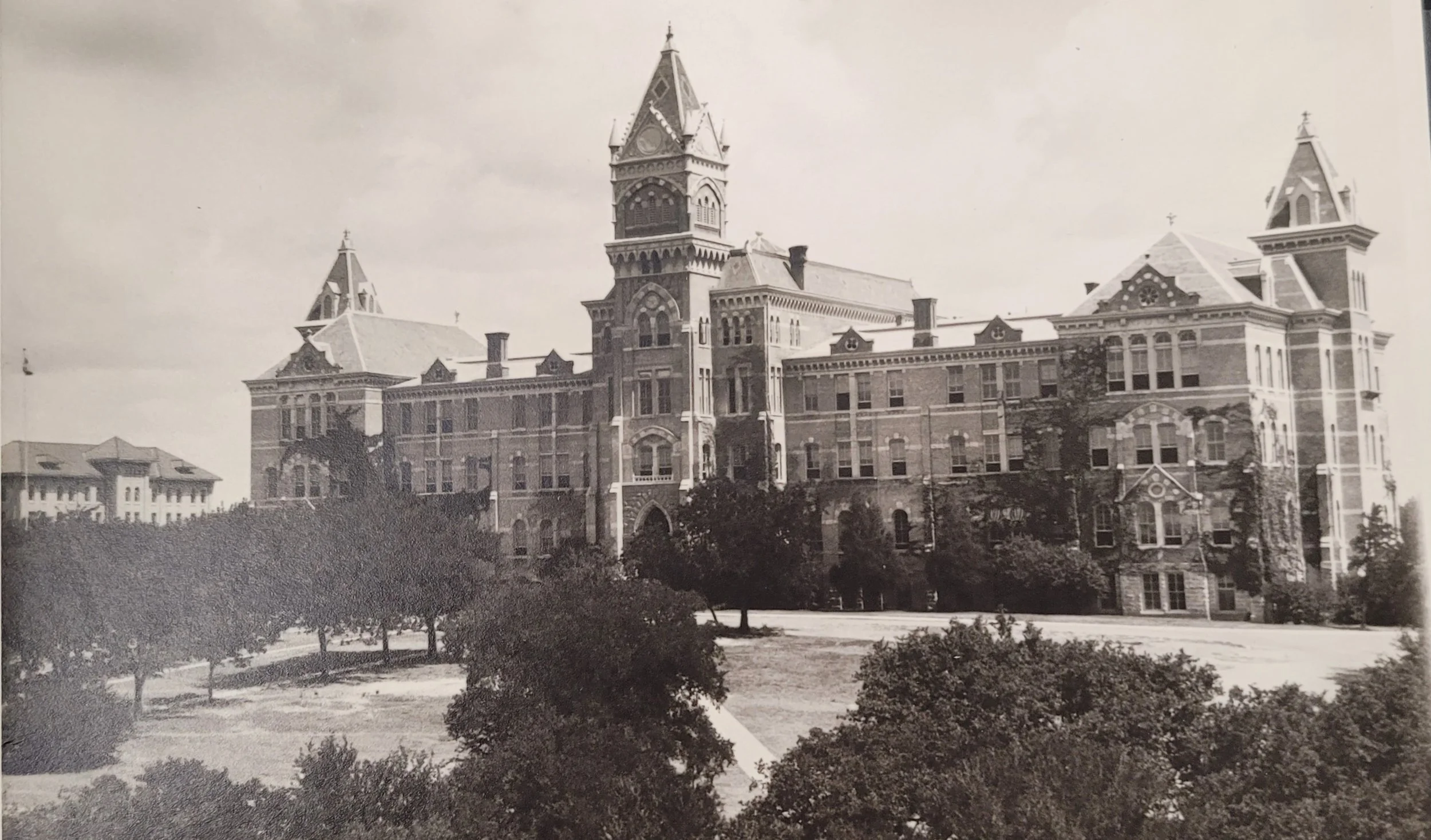 The History of Longhorn Sports