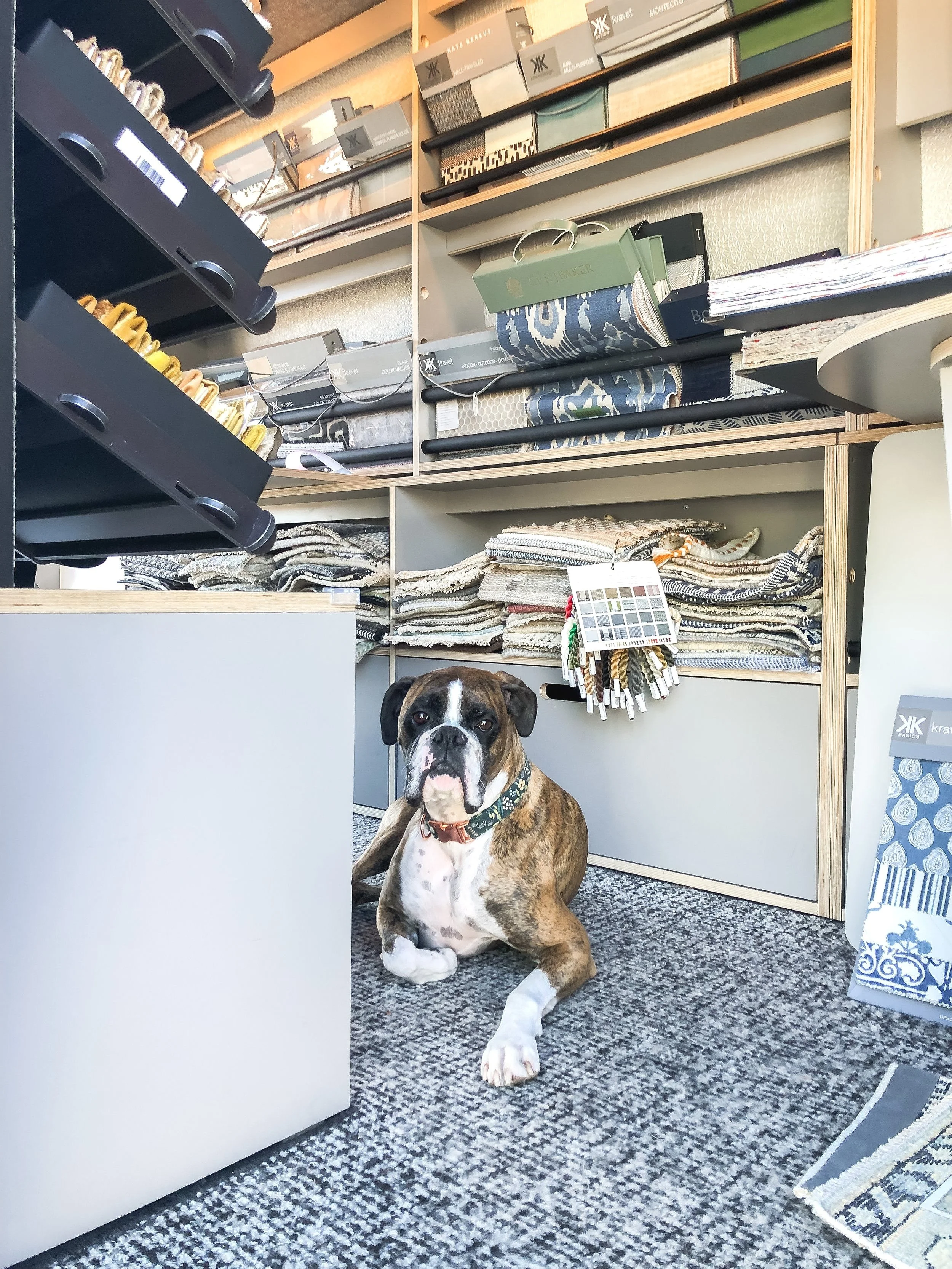 Phases — SMC INTERIOR DESIGN