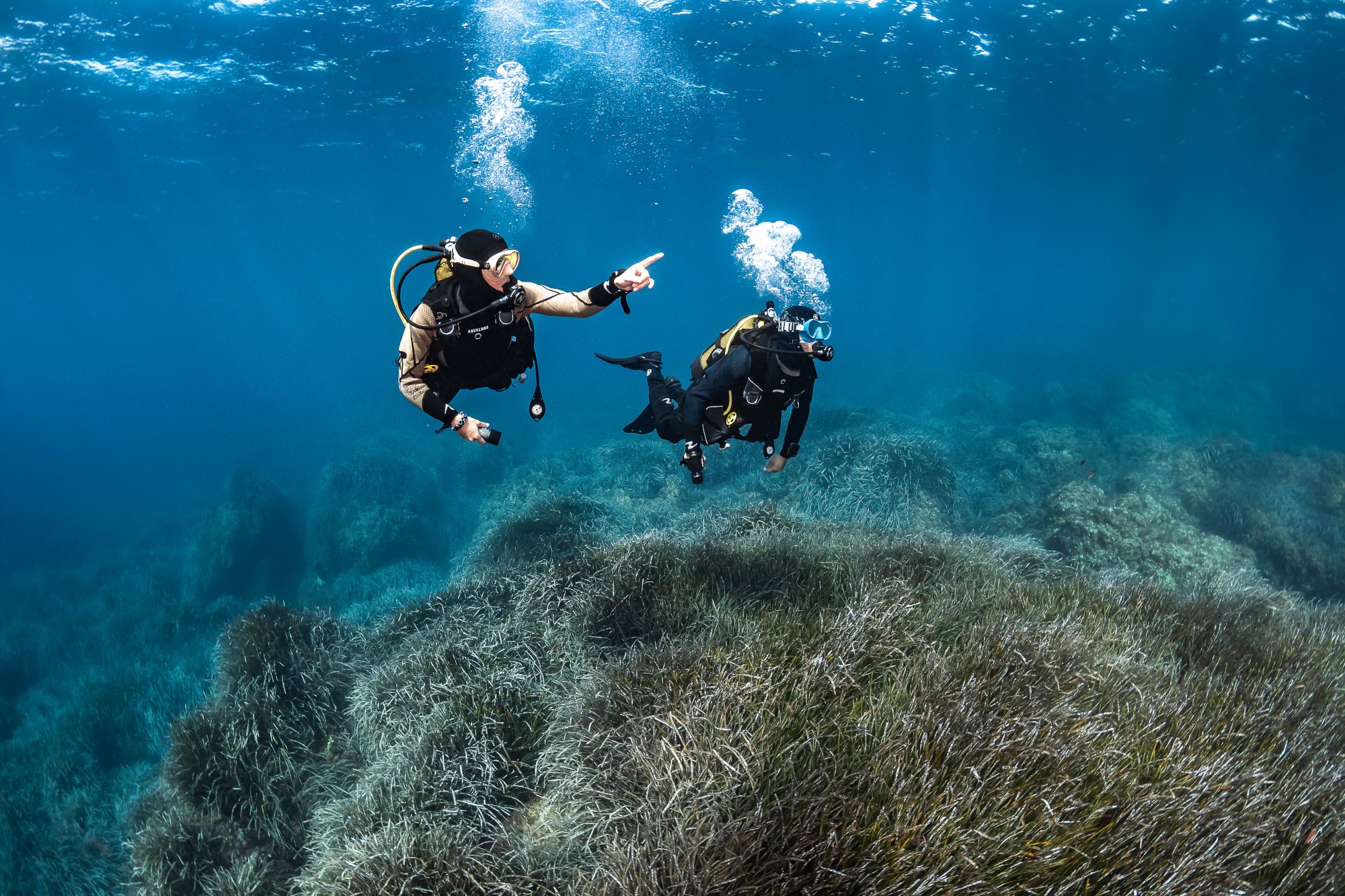Private Dive Tours — Rowand's Reef Scuba Shop