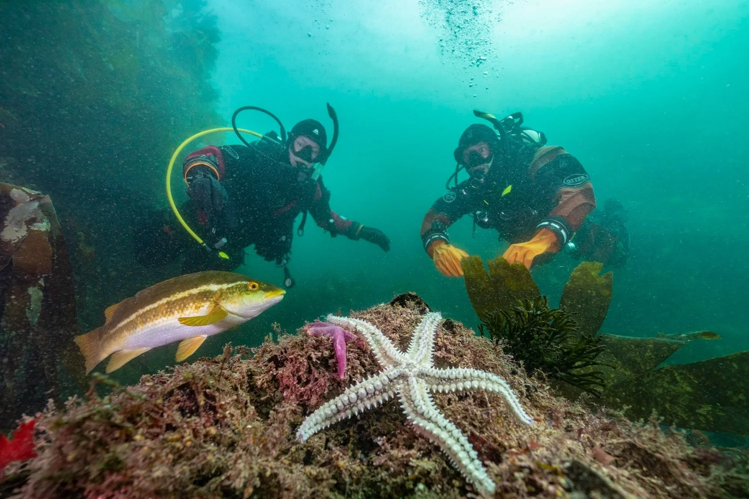 Rowand's Reef Scuba Shop