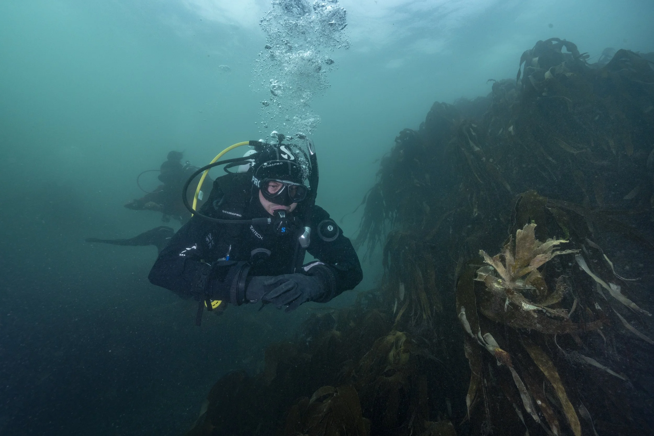 PADI Advanced Open Water Diver Course — Rowand's Reef Scuba Shop