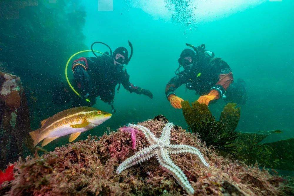 Scuba Activities, Dive Trips, and Charters — Rowand's Reef Scuba Shop