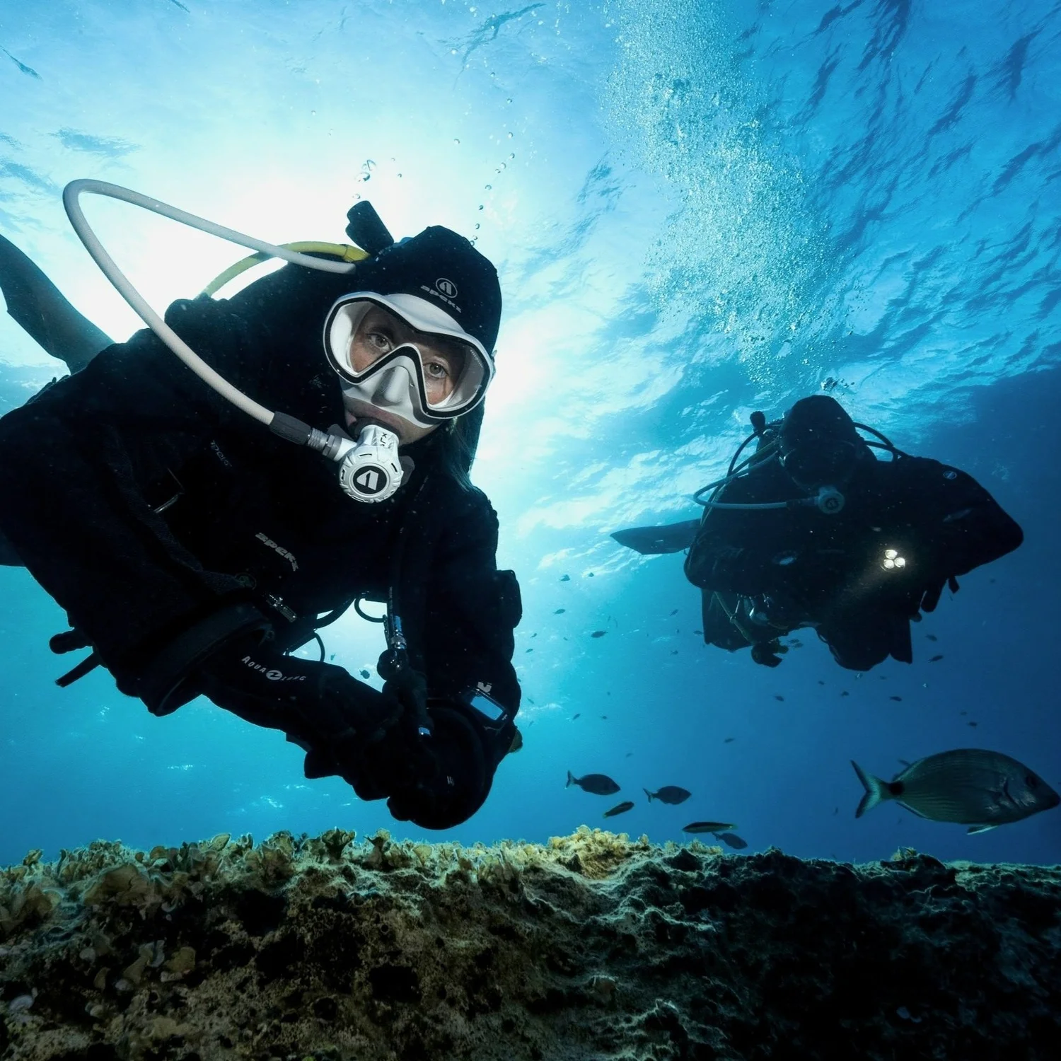 Rowand's Reef Scuba Shop