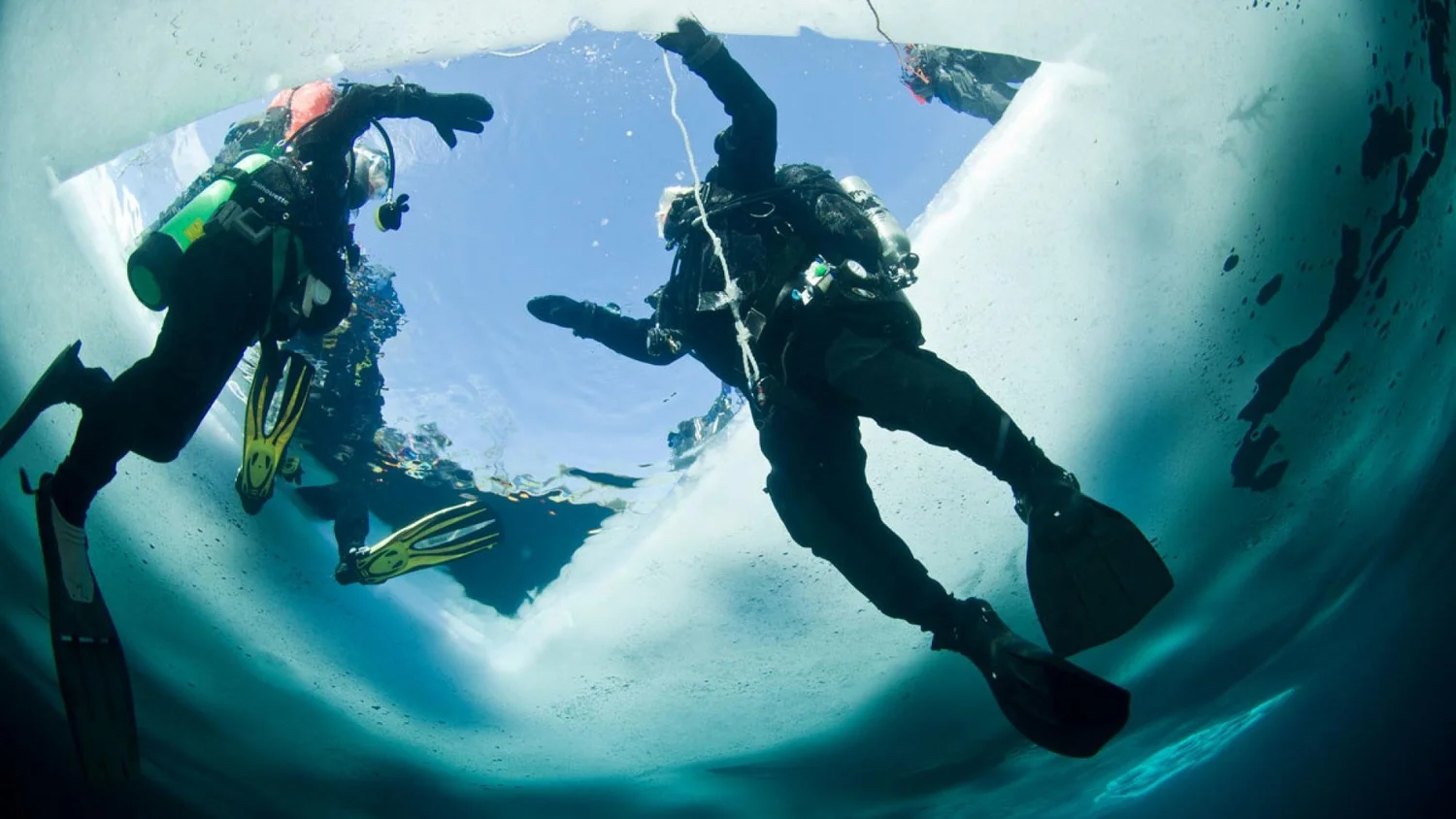 PADI Ice Diver - 2nd Date Added! — Rowand's Reef Scuba Shop