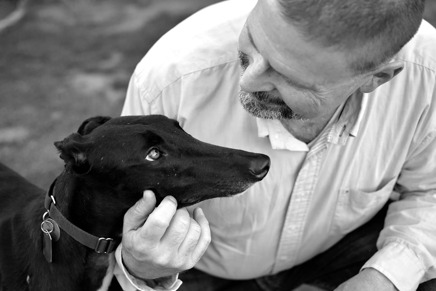 Foster — FastFriends