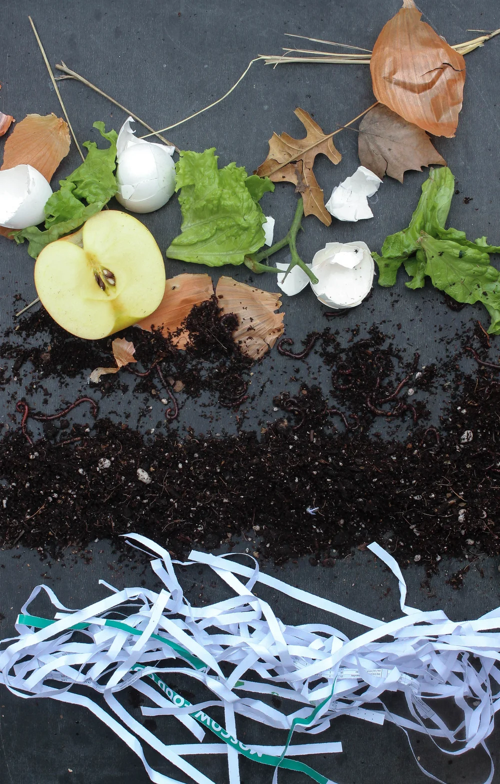 How-To: Worm Composting — Moscow Food Co-op
