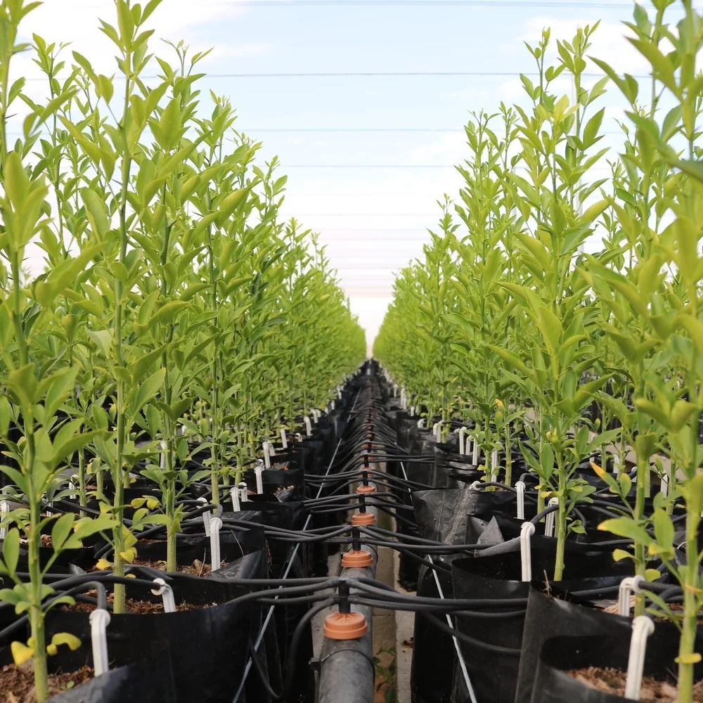 Details of our circular enabling investee portfolio companies ...