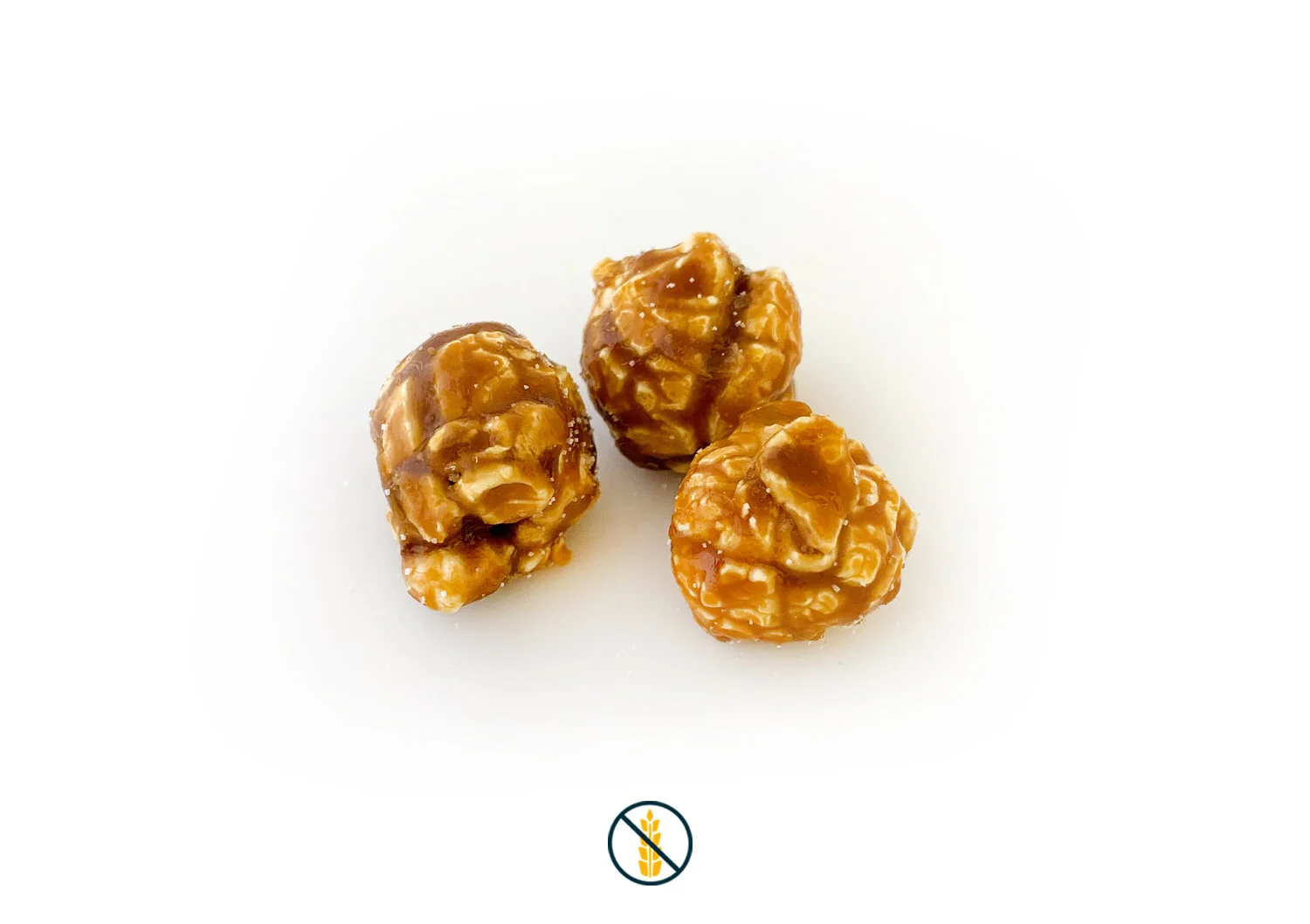 Tropical Shores Gourmet Popcorn