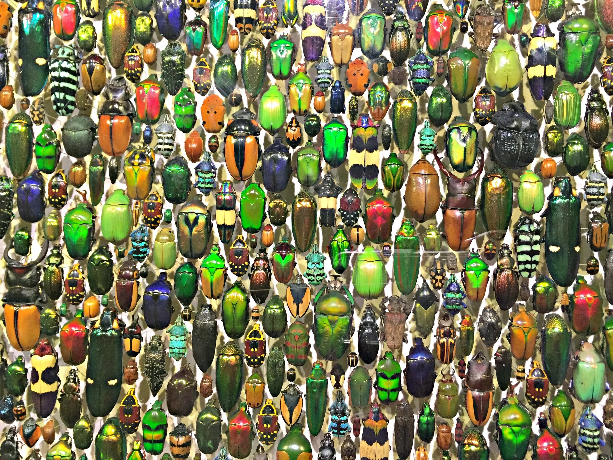 Visiting the Montreal Biodome — Kids in the Capital