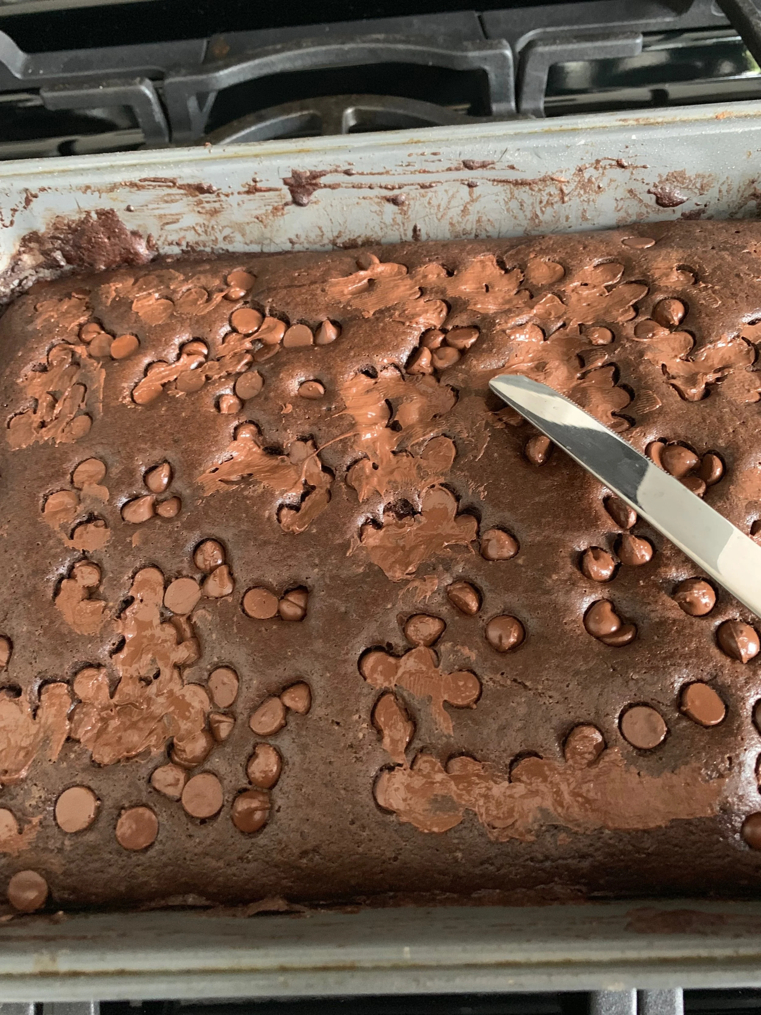 Wacky Cake: The Easiest Chocolate Cake You'll Ever Make — Kids in the ...