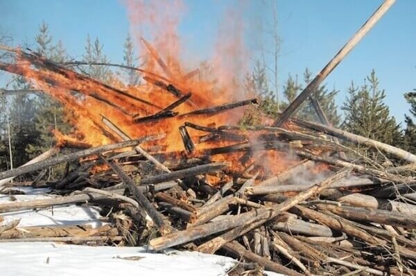 Responsible Wood Disposal and the Impact of Landfilling Treated Wood ...