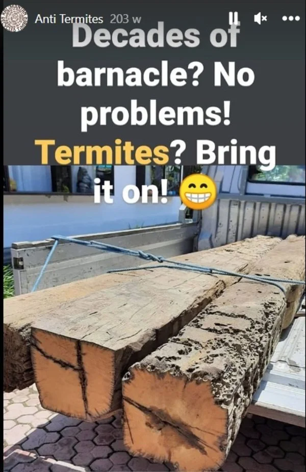 Nature's Termite-Resistant Wonder Wood: Kalimantan Ironwood — Kaltimber ...