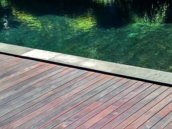 Unveiling the Essence of Tannin in Wood — Kaltimber - Timber merchant ...