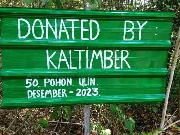 450 trees planted in 2023! Reforestation goals achieved — Kaltimber ...