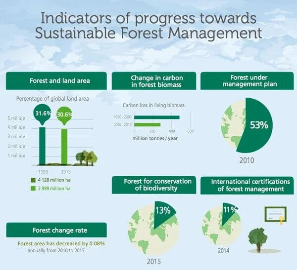 The History of Sustainable Forestry Practices and How They are Being ...