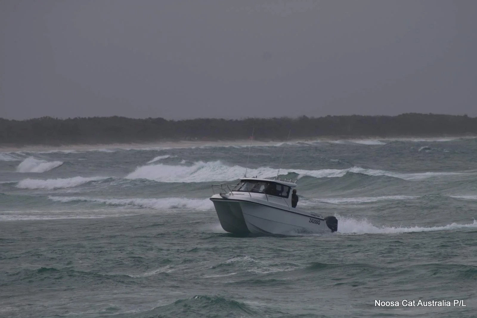 2400 — Noosa Cat Australia