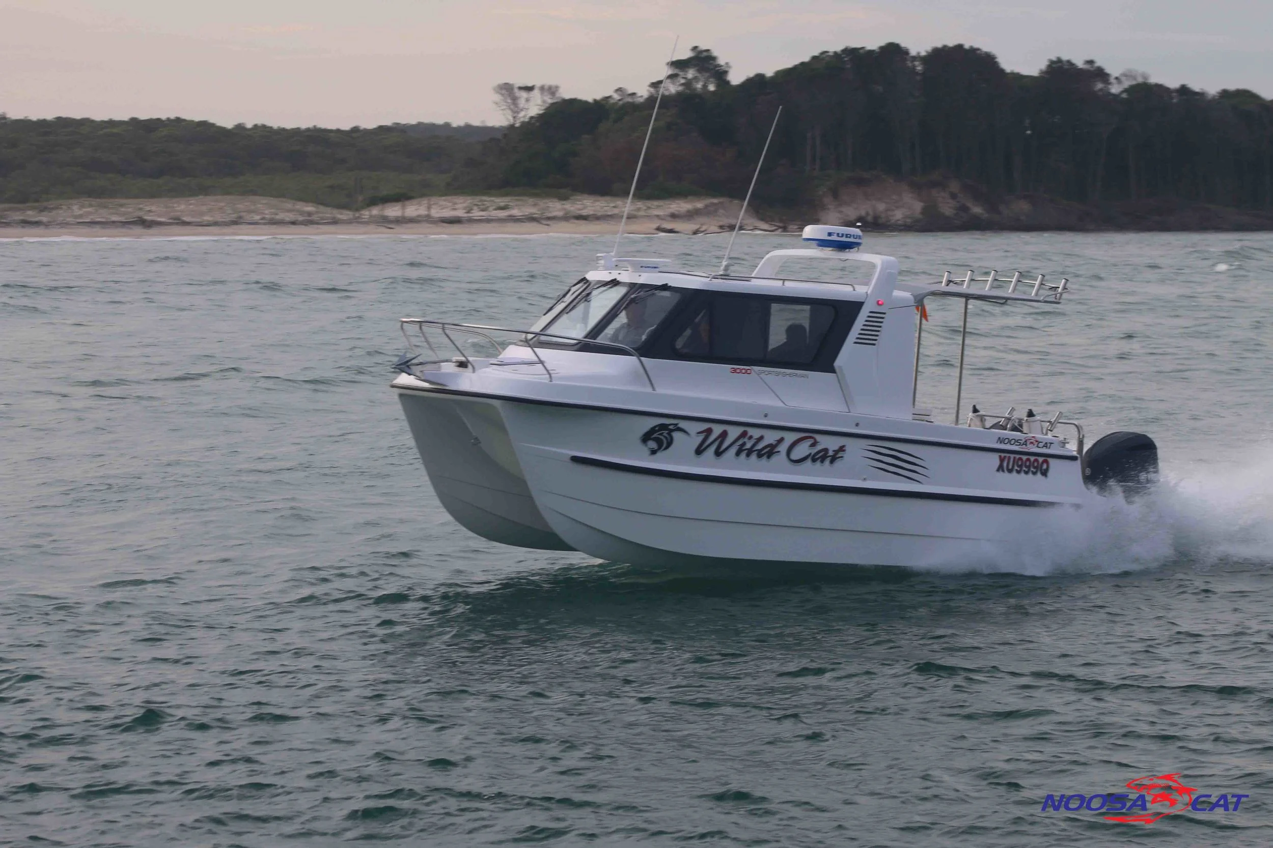 3000 — Noosa Cat Australia