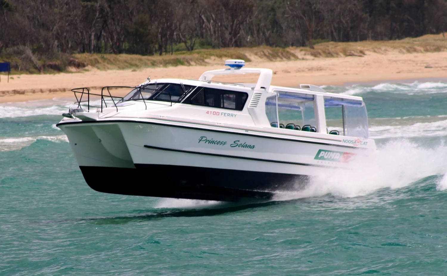 History — Noosa Cat Australia