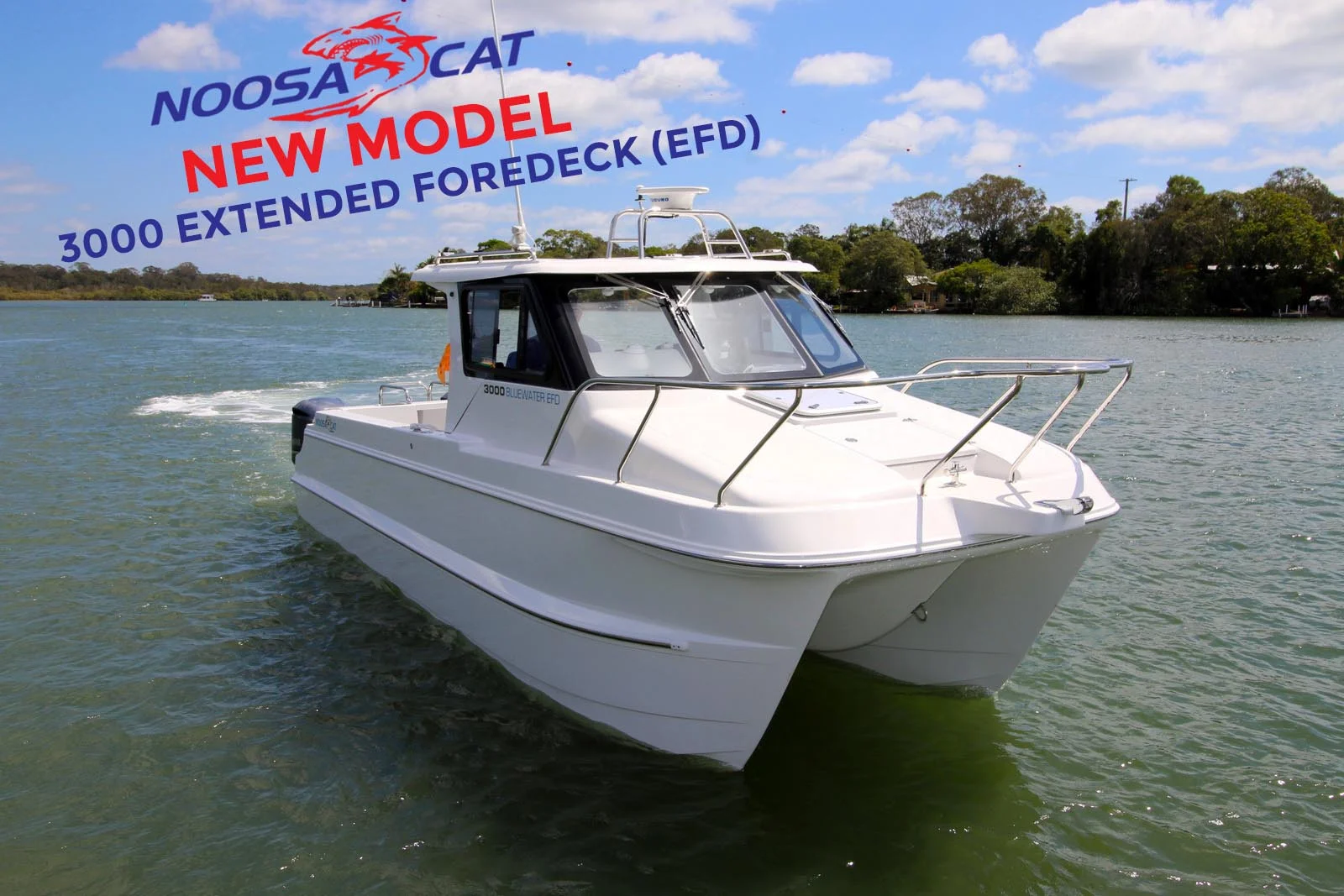 3000 — Noosa Cat Australia