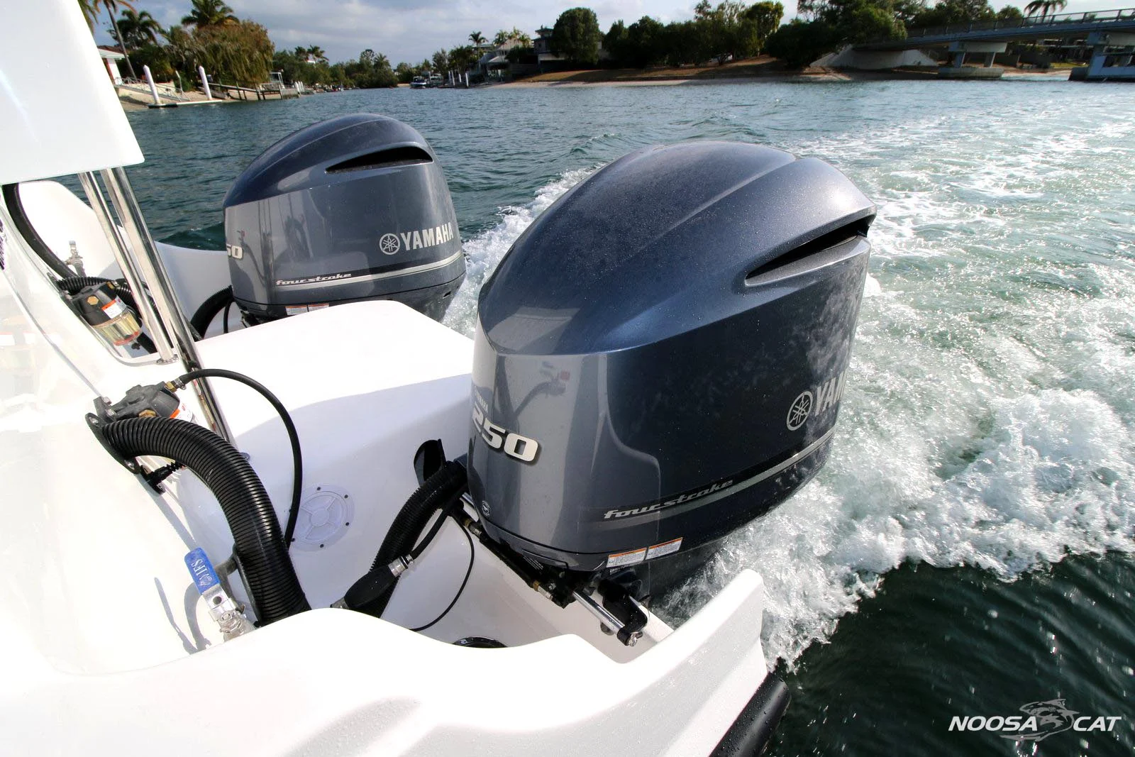 3000 — Noosa Cat Australia