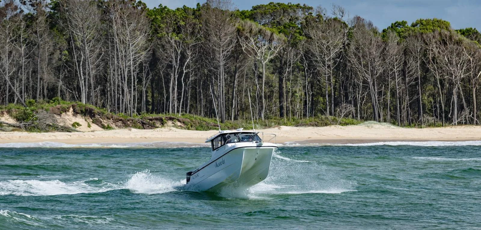 2400 — Noosa Cat Australia