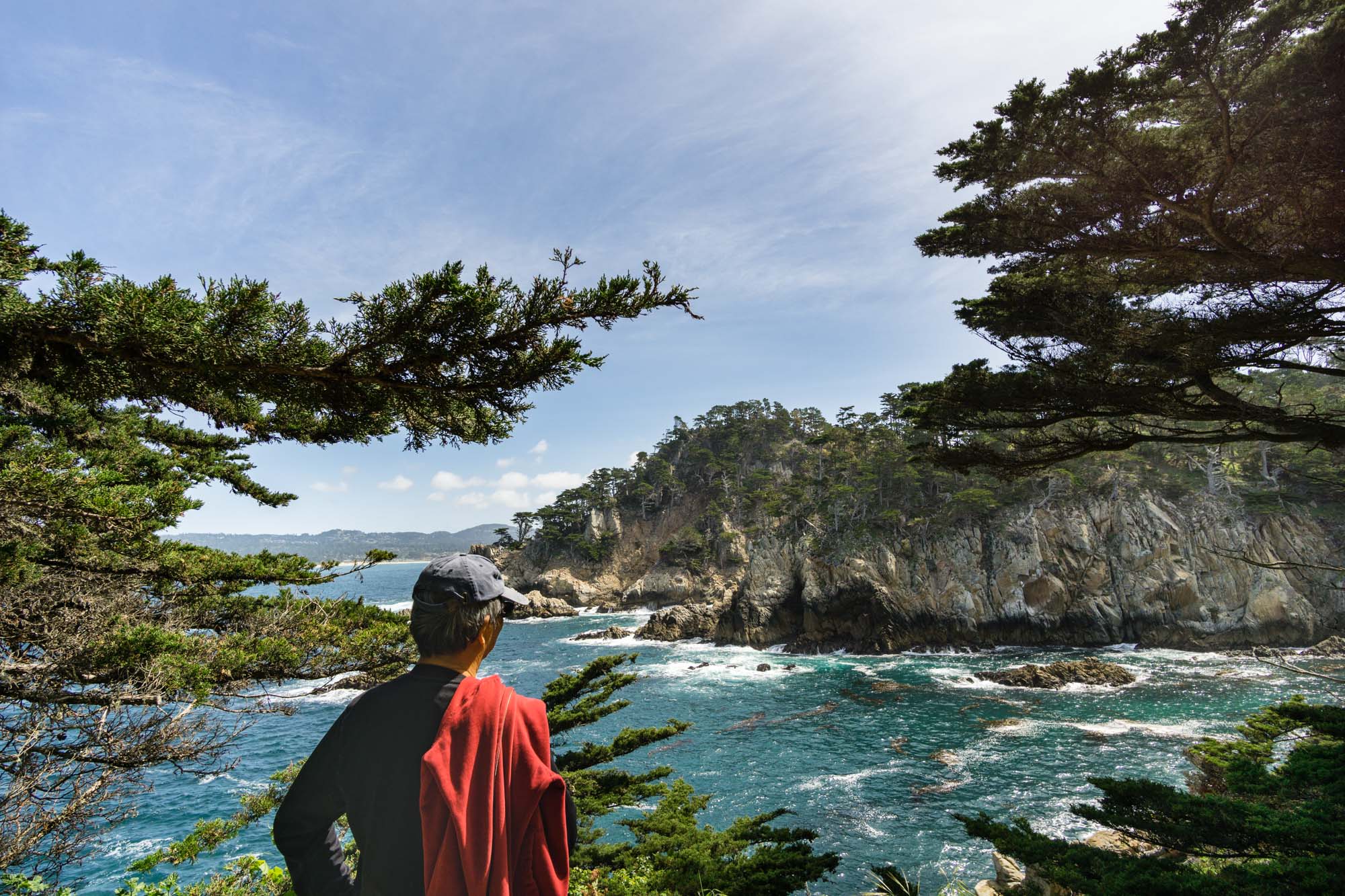 Cypress Grove Trail — Point Lobos in Carmel, CA — Backcountrycow ...