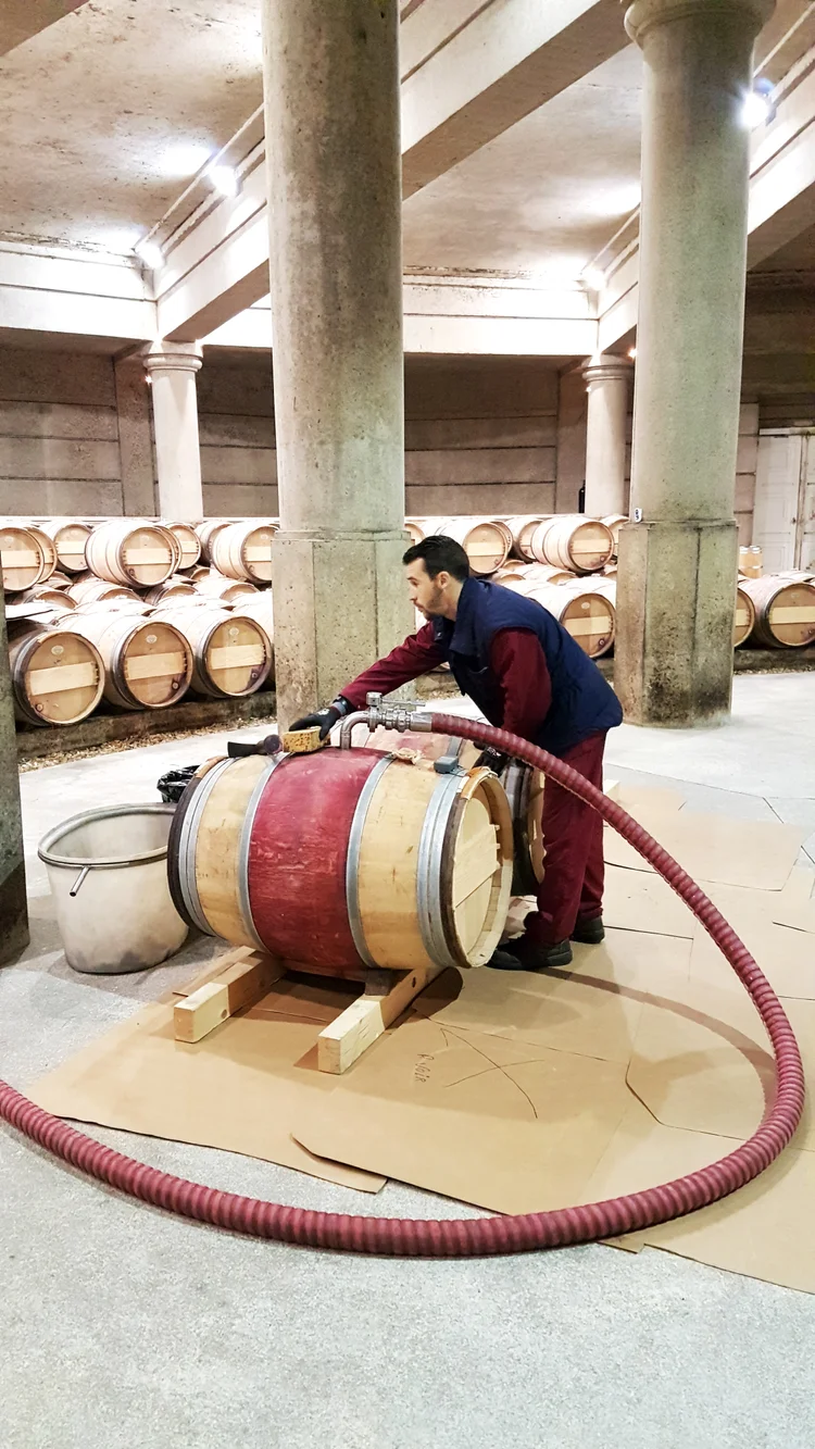 Red Wine Production — Yacht Cru Wine Guide