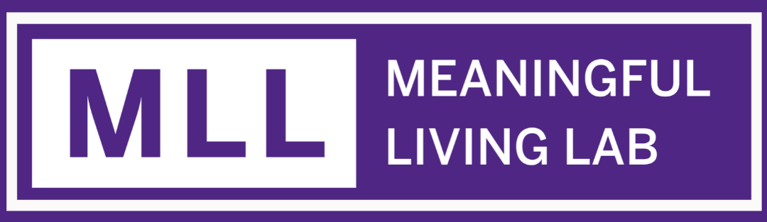 Meaningful Living Lab
