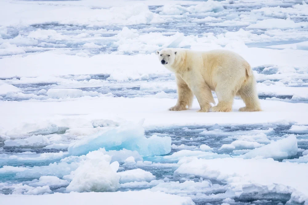 Epic Adventures with Seabourn