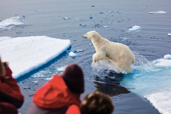 Penguins or Polar Bears? Comparing the Arctic and Antarctica