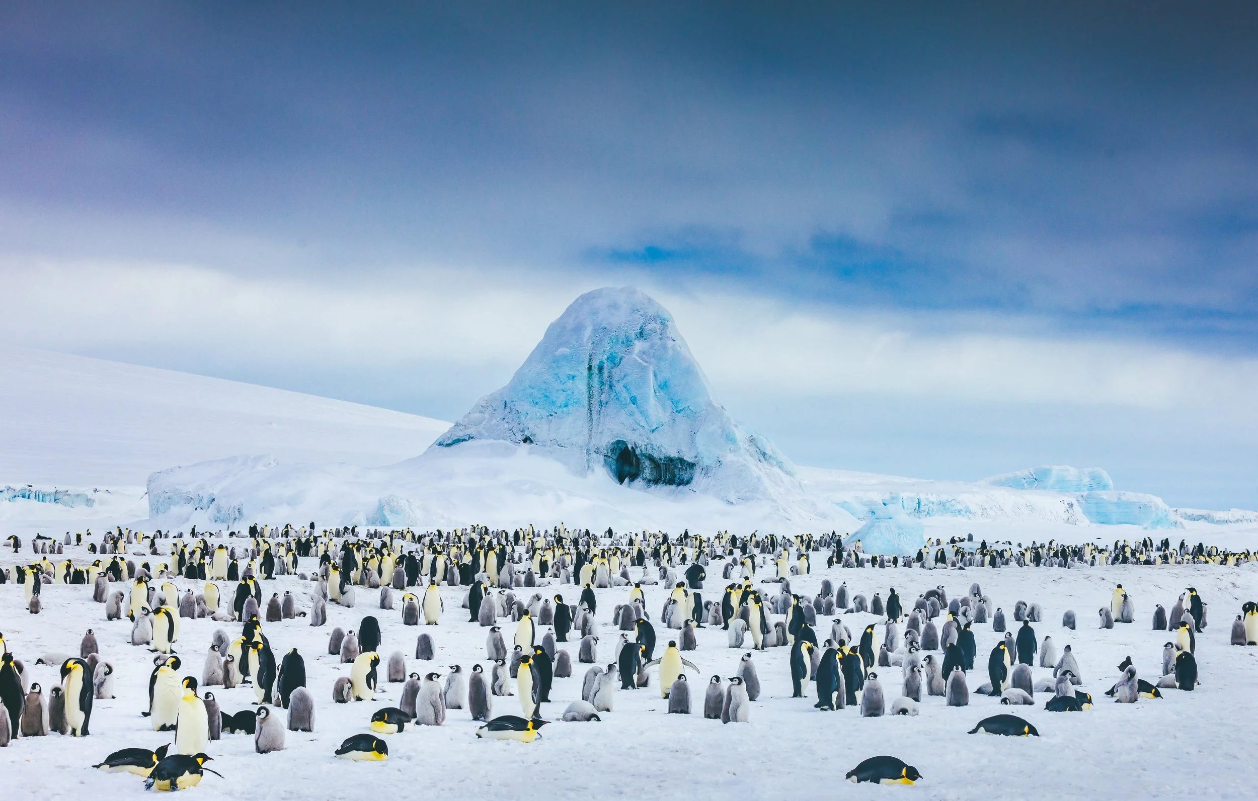 Epic Expeditions: Quark's Ultimate Antarctic Experience