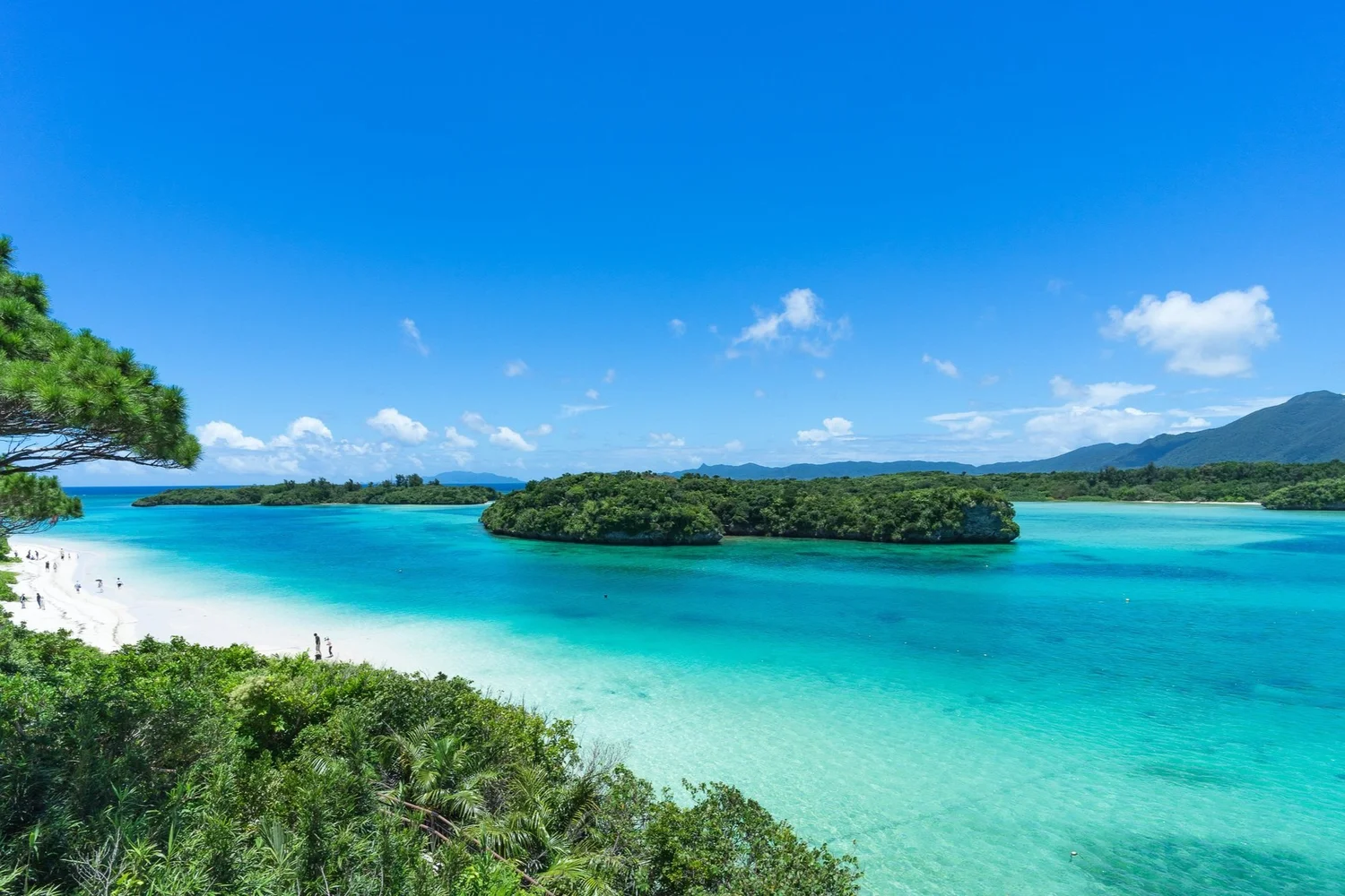 Discover the islands of Japan
