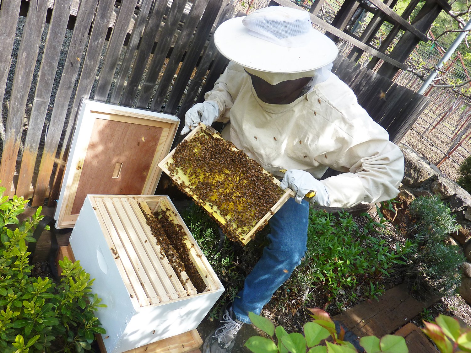 Beekeeper