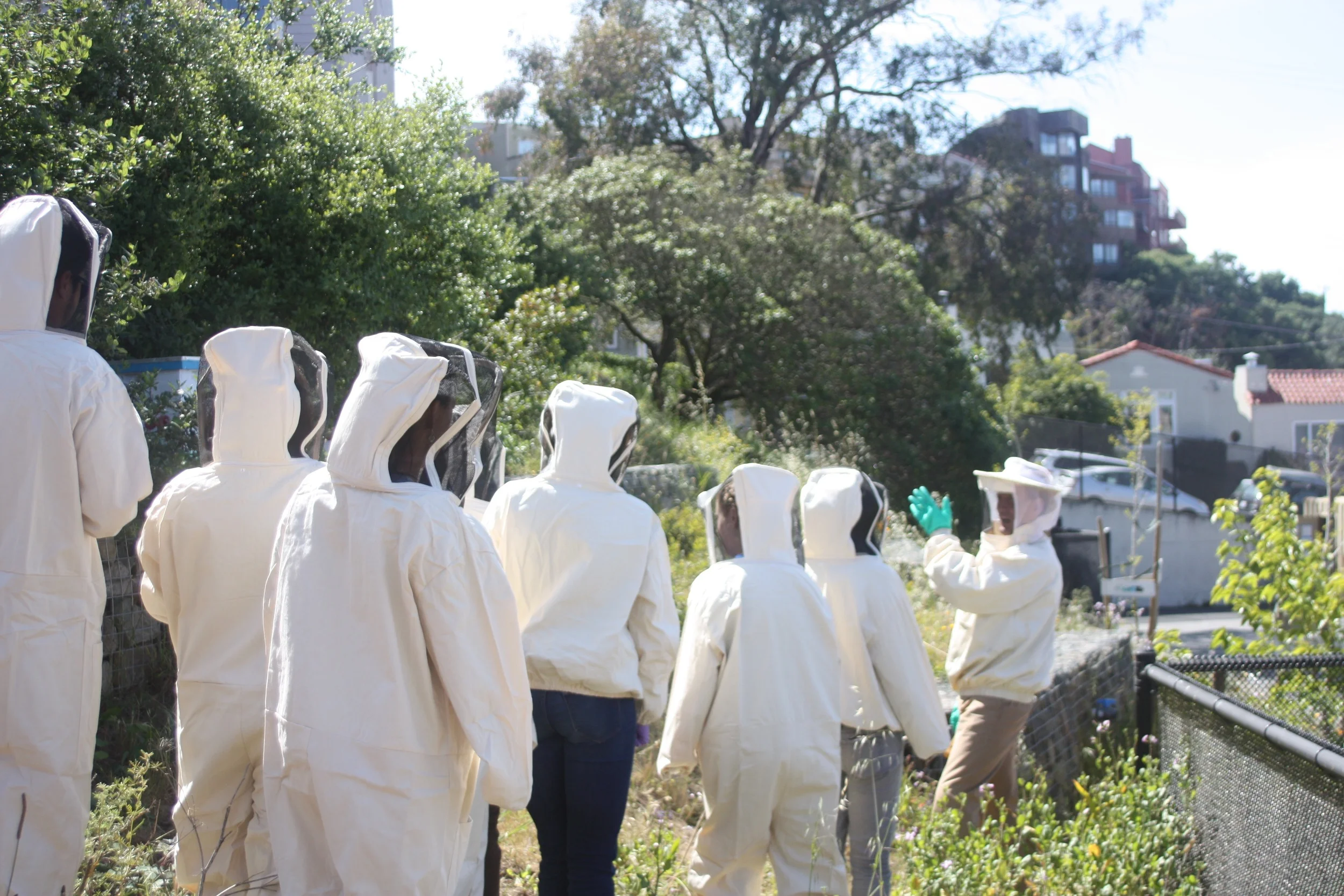 OUR TEAM — Planet Bee Foundation